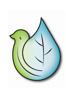 Delivery Policy | My Website